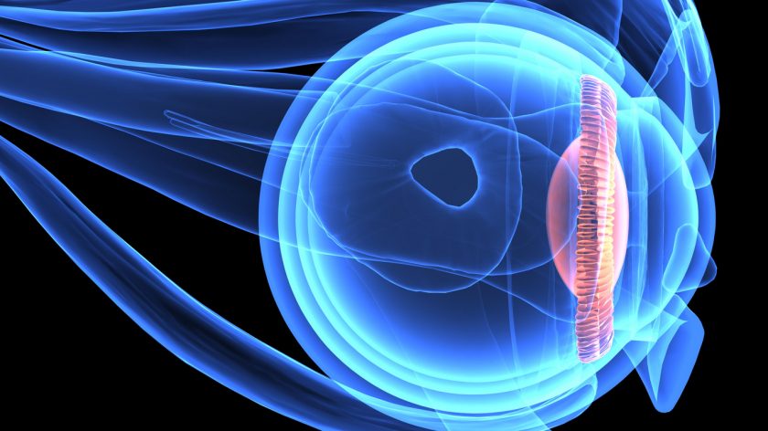 Cuerpo ciliar: definición y funciones - Blog de Clínica Baviera