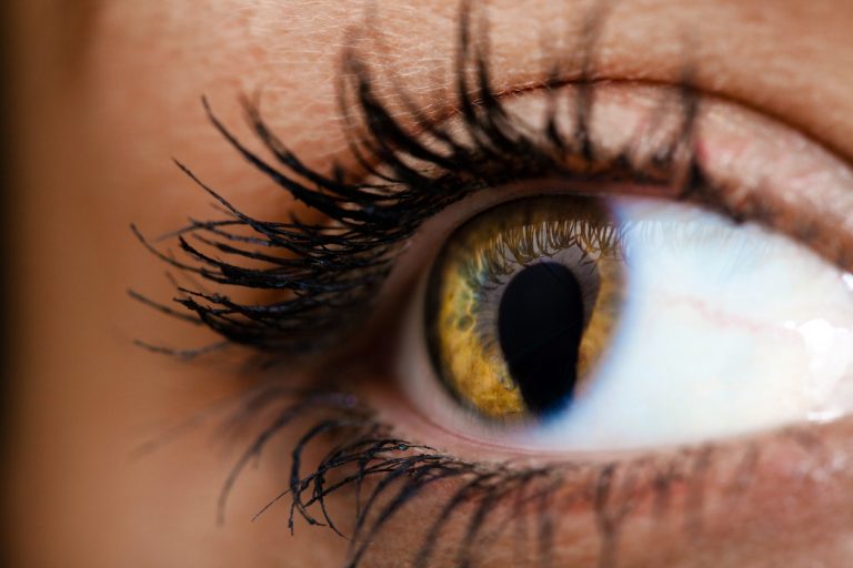 Coloboma: qué es, tipos, síntomas y tratamientos | Blog de Clínica Baviera